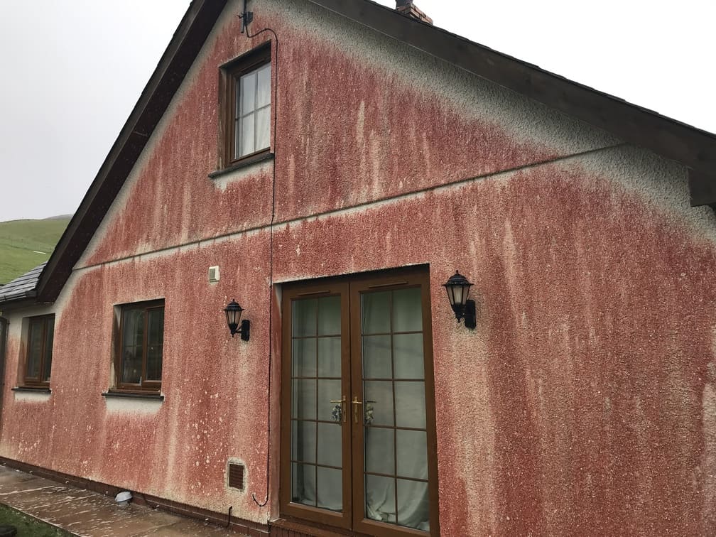 Roughcast Render Cleaning - Fidelta